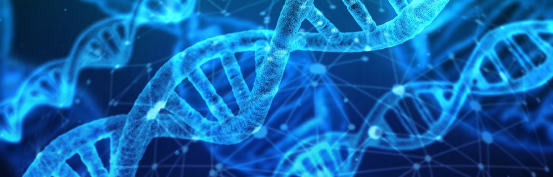 10 Best Online Doctor of Health Science Degrees