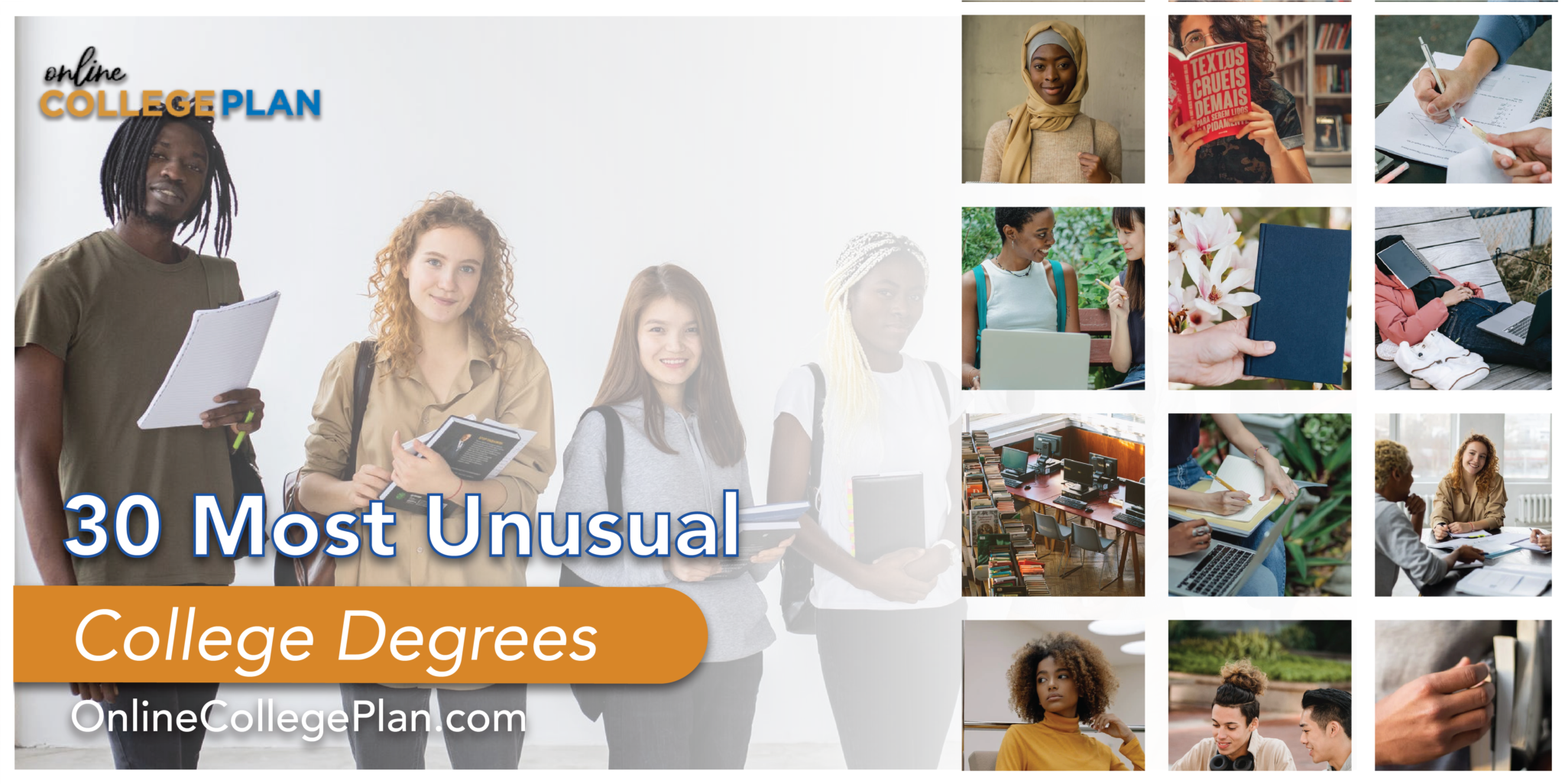 30 Most Unusual College Degrees