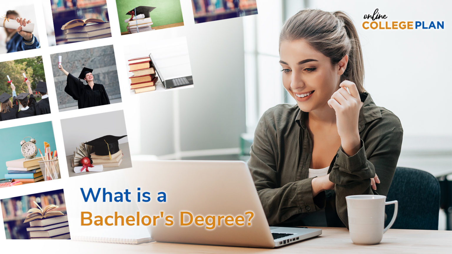 What is a Bachelor's Degree?