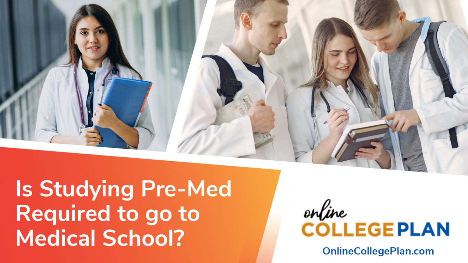 Is Studying Pre-Med Required to go to Medical School?