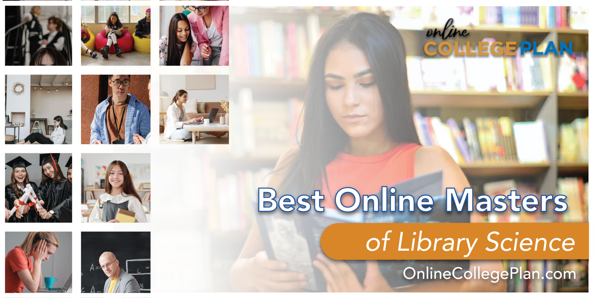 15 Best Online Masters in Library Science