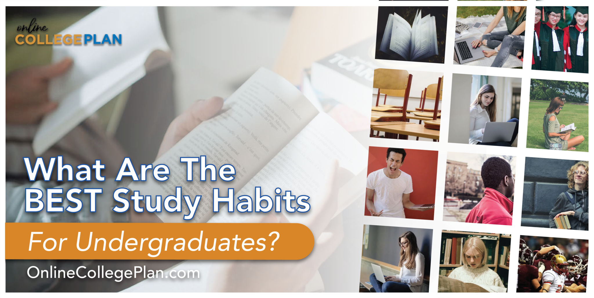 What Are The Best Study Habits For Undergraduates?