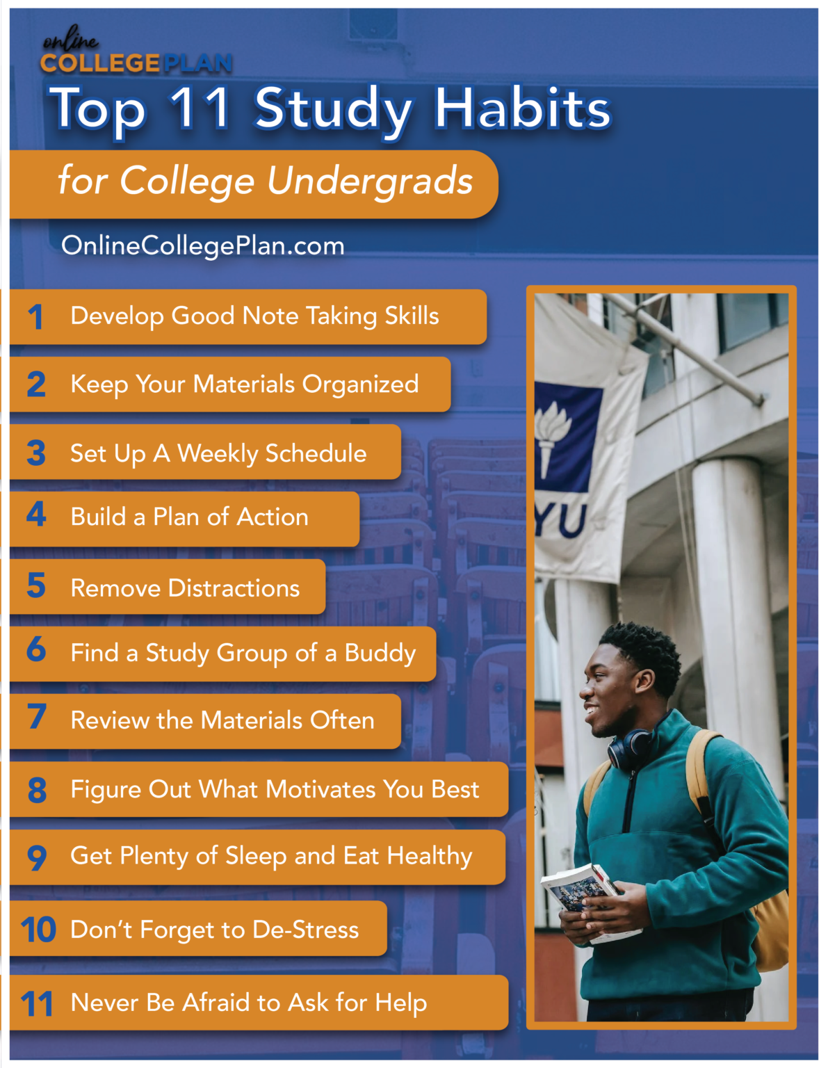 What Are The Best Study Habits For Undergraduates?