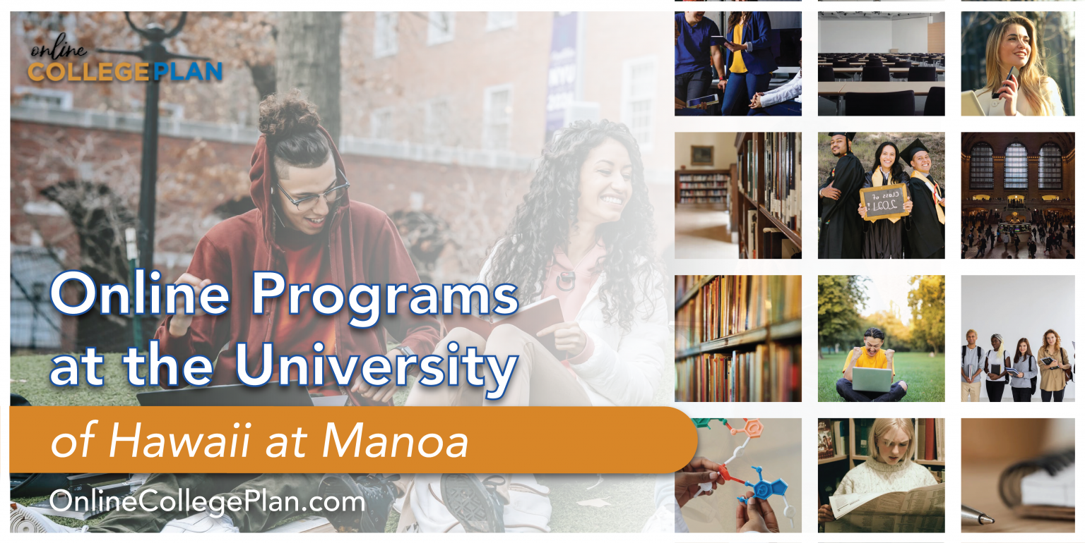 What are the Online Program Options at University of Hawaii at Manoa?