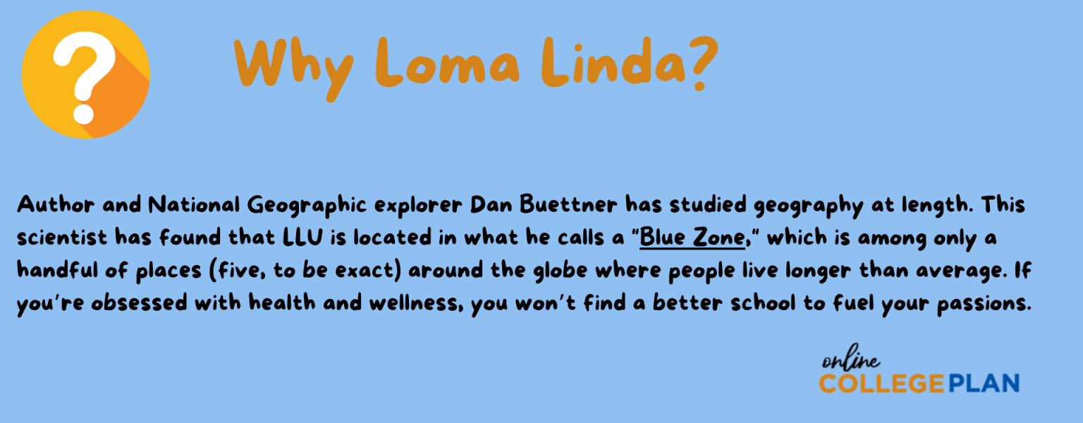 Top 20 Best Colleges with Online PhD Programs